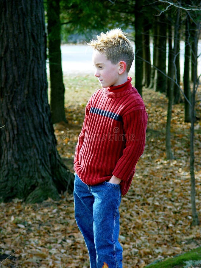 Standing amongst the trees stock photo. Image of trees - 1597844