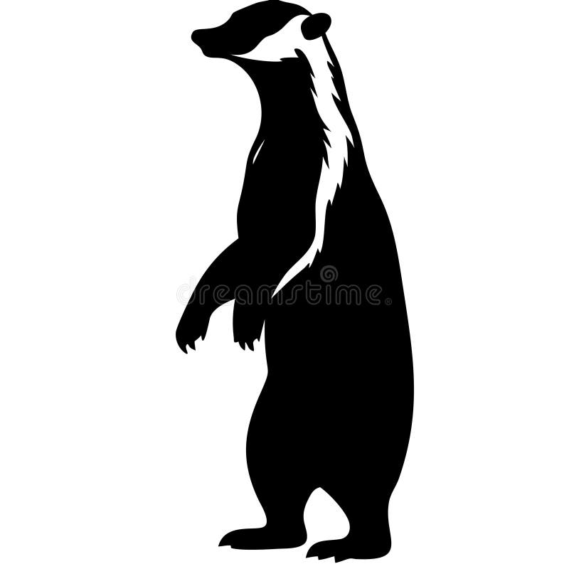 Standing Badger Silhouette Vector Illustration for Wildlife Art and ...