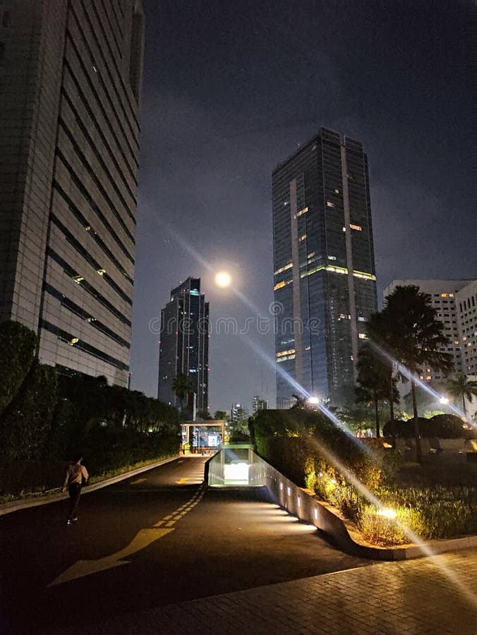 Standing Bathed in Moonlight at Night Stock Photo - Image of bathed ...
