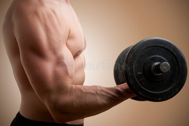 Standing Bicep Dumbbell Curl Stock Photo - Image of biceps, health ...