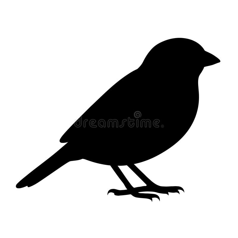 Standing Bird Silhouette Representation of Wildlife, Posture, and ...