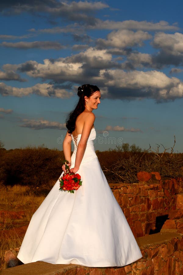 Standing Bride stock image. Image of happy, beaded, rose - 1202073