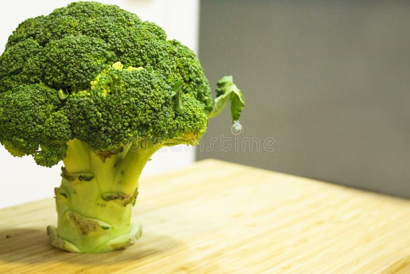 Standing Broccoli Simulating a Tree Stock Photo - Image of natural ...