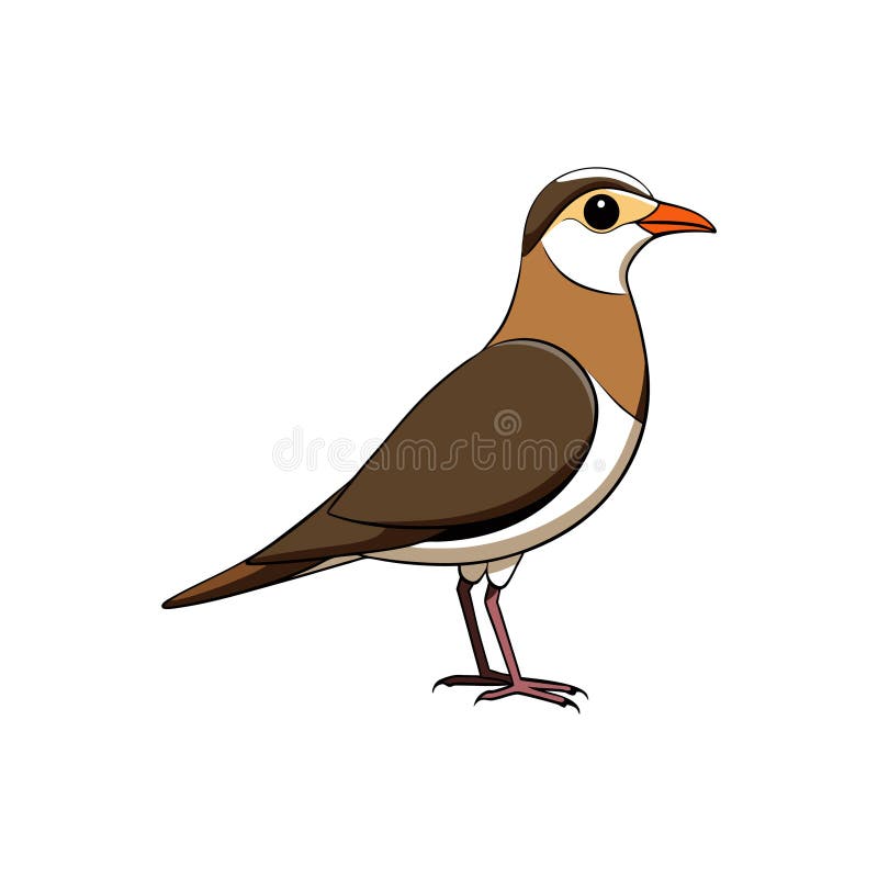 Standing Brown Bird Illustration Against Clean White Background Studio ...