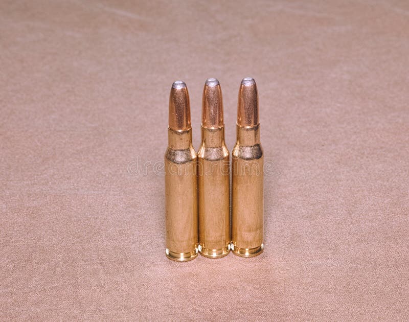 The Standing Cartriges 308 Winchester Caliber with Soft Point Bullets ...