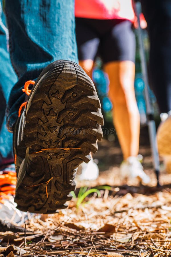 Footfall during the Walk in the Forest Stock Photo - Image of legs ...