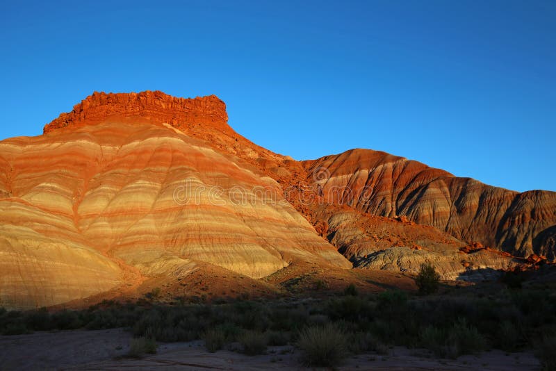 Standing in deep shadow stock image. Image of river - 259465477