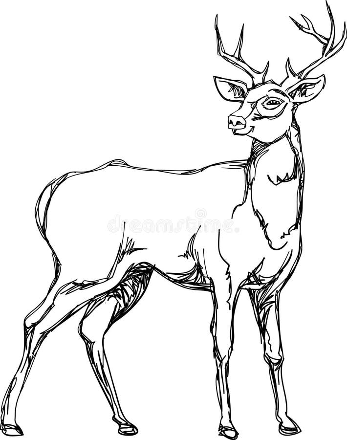 Standing Stag Line Art Image Stock Vector - Illustration of male ...