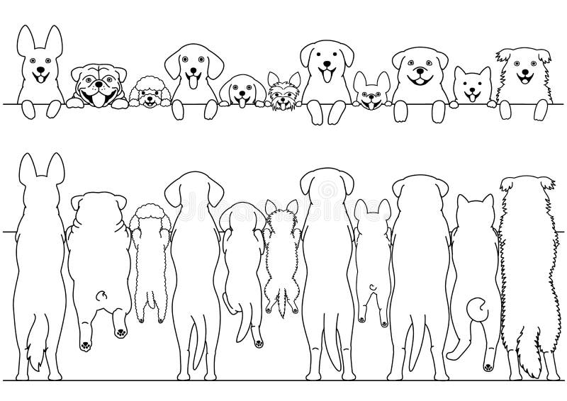 Standing Dogs Front and Back Border Set Stock Vector - Illustration of ...
