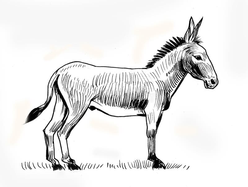 Ink Donkey Stock Illustrations – 436 Ink Donkey Stock Illustrations ...