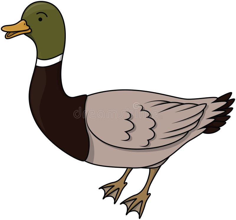Standing Duck Cartoon Color Illustration Stock Vector - Illustration of ...