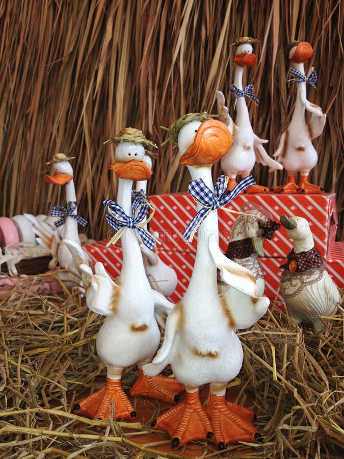 Standing ducks stock photo. Image of cute, blue, brown - 53998860