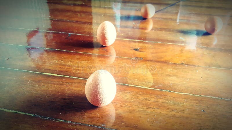 Sweating Eggs Straight Out from Fridge Stock Image - Image of chicken ...