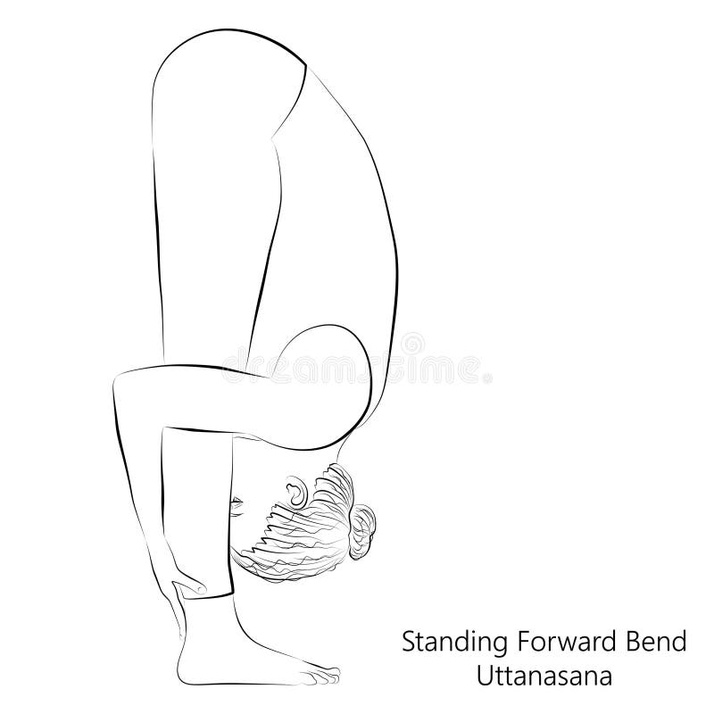 Standing Forward Bend Pose or Uttanasana. Sketch Stock Vector ...