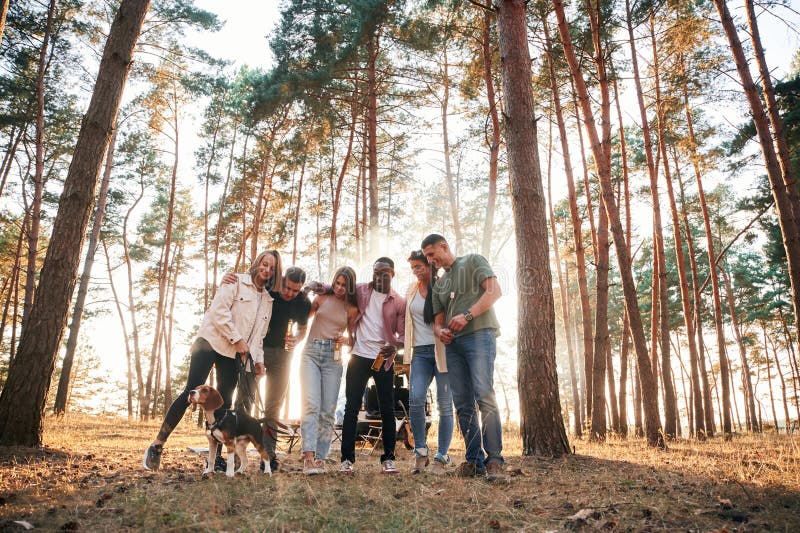 Standing, Fun with Dog. Group of Friends are Together in the Forest ...