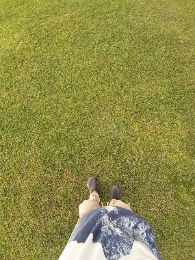 Standing on the lawn stock photo. Image of lawn, stand - 217516834