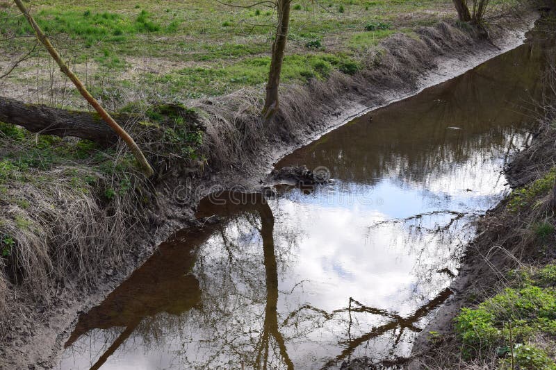 Almost Standing Little River Stock Photo - Image of tree, reflection ...