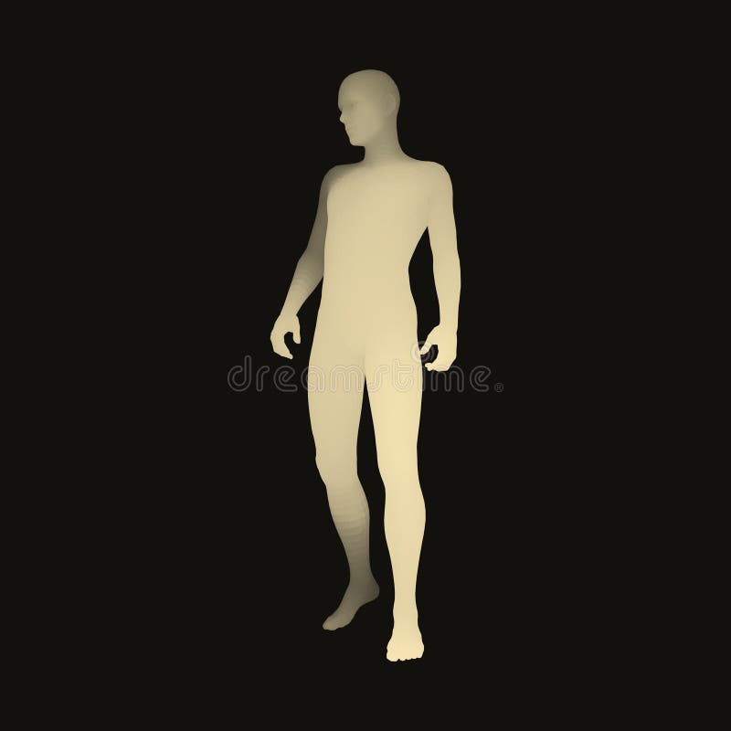 Standing Man. 3D Human Body Model. Design Element. Man Stands on His ...