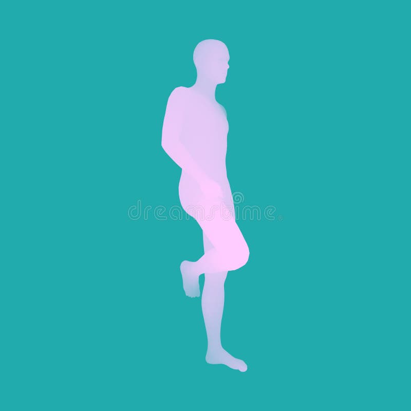 Standing Man. 3D Human Body Model. Design Element. Man Stands on His ...