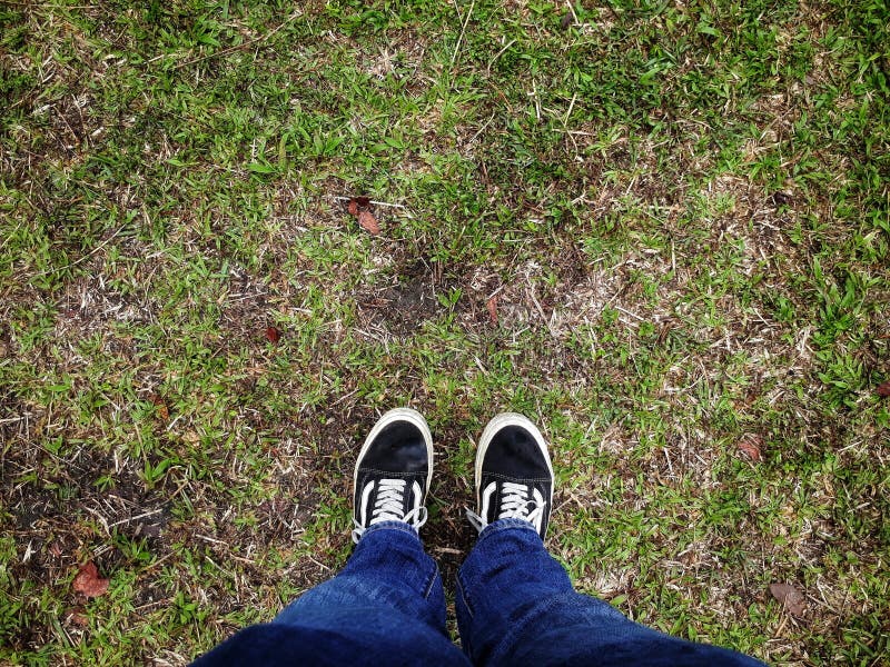 Standing on Natural and Nice Green Growth Stock Image - Image of ...