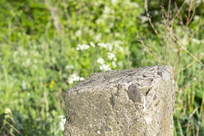 Standing Old Gray Concrete Pillar with Planar Surface on the Top As a ...