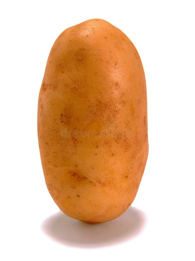 Standing Potato Picture. Image: 4262055