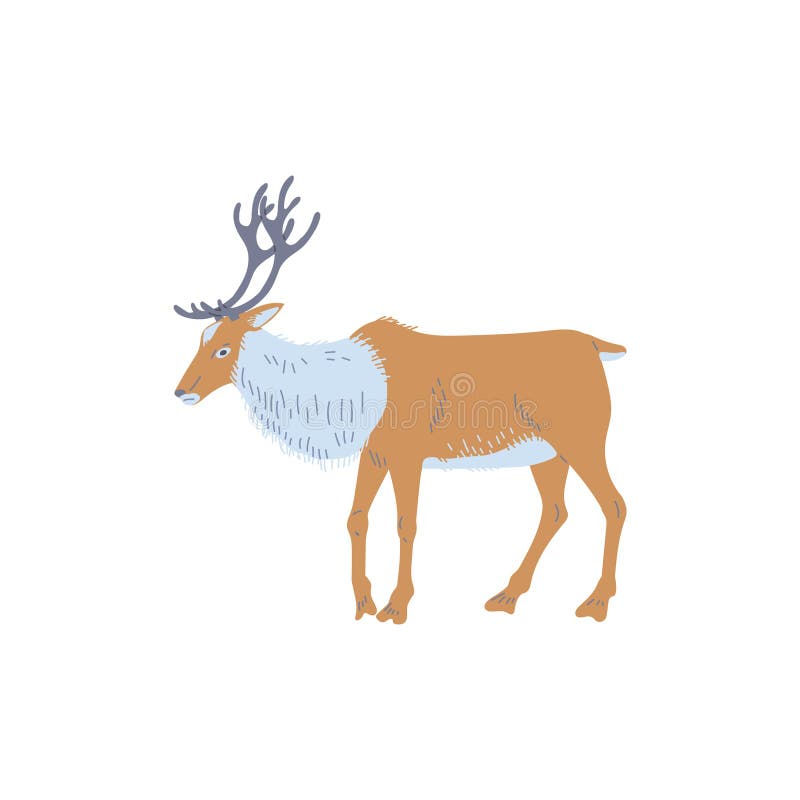 Standing Reindeer Arctic Animal Side View Flat Style Stock Vector ...