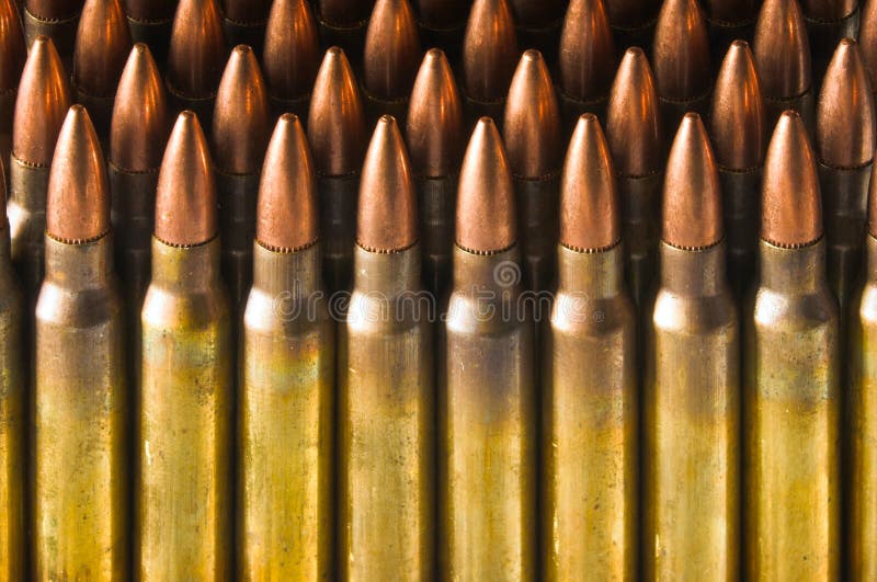 Standing rifle cartridges stock image. Image of casings - 1022871