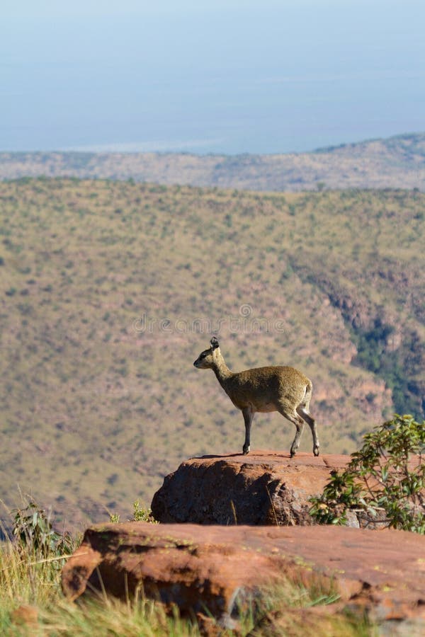 Standing on a rock stock image. Image of depth, light - 22042119