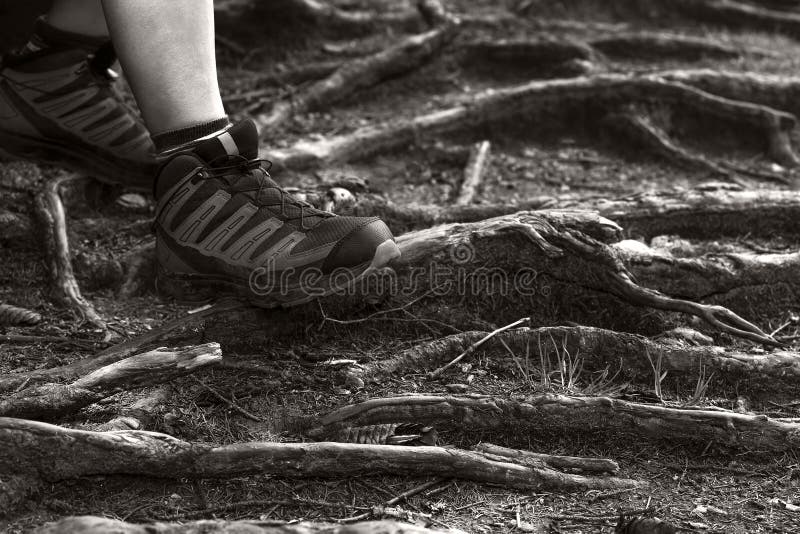 Standing on a Rough Terrain Stock Photo - Image of root, adult: 79058578