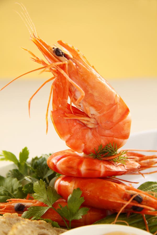 Standing Shrimp stock image. Image of meal, dining, prawns - 13427417