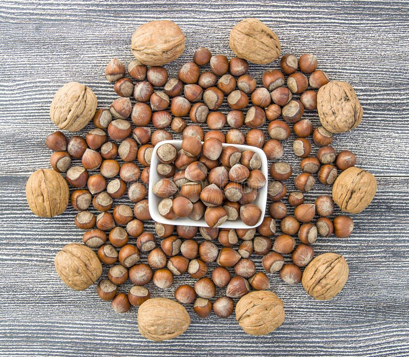 Walnut and Shelled Hazelnut Pictures Side by Side in a Separate Plate ...