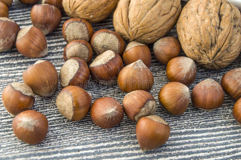Standing Side by Side in Separate Plate of Shelled Hazelnuts and ...