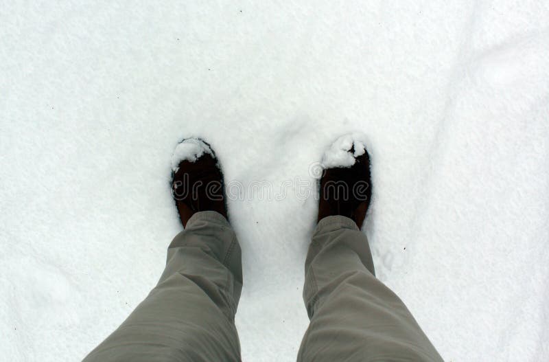 Standing in the snow stock photo. Image of legs, frost - 83974688