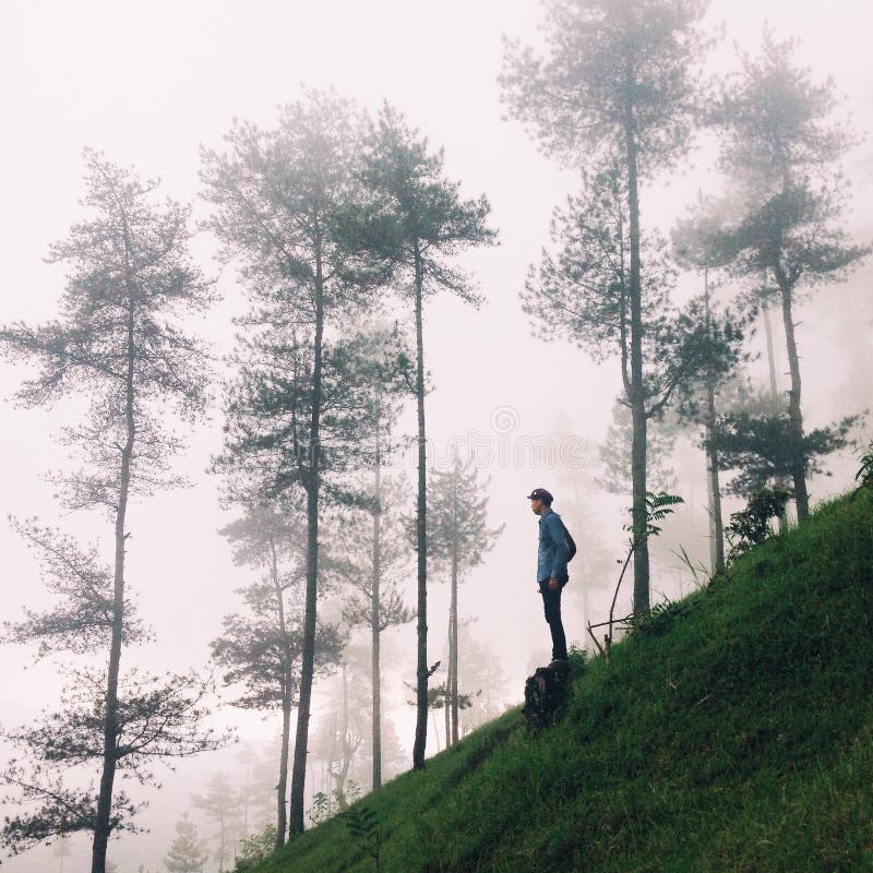 Standing solo editorial stock image. Image of standing - 51863814