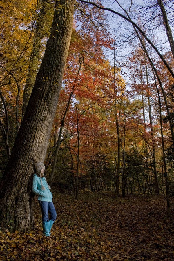 Standing Tree stock photo. Image of portrait, gold, ocean - 7469294