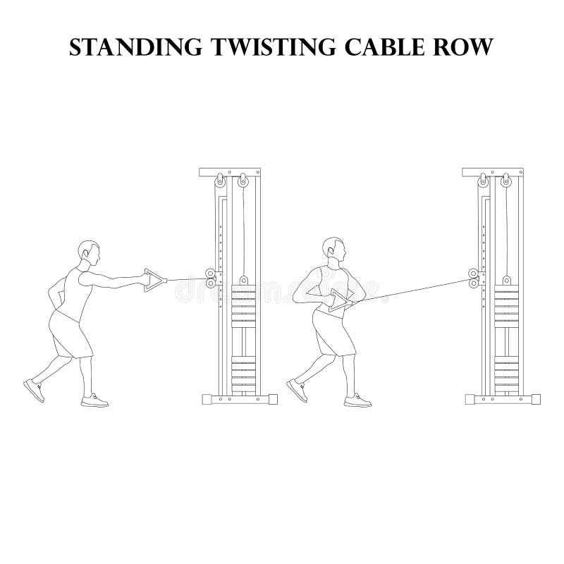 Cable Row Exercise Stock Illustrations – 65 Cable Row Exercise Stock ...