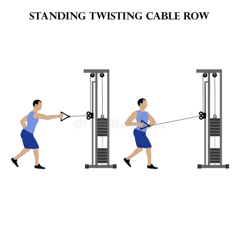 Cable Row Exercise Stock Illustrations – 65 Cable Row Exercise Stock ...