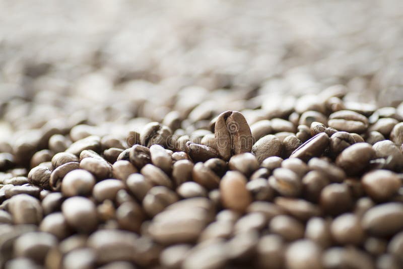 Standing Up stock photo. Image of lying, single, light - 62173790