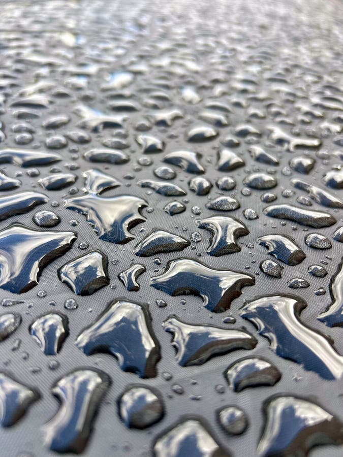 Standing Water Droplets after Rainfall Stock Photo - Image of ...