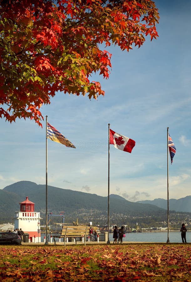 Stanley Park Fall Colors En Vlaggen Redactionele Stock Foto - Image of ...