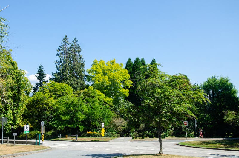 Stanley Park, Vancouver, BC, Canada Stock Photo - Image of destination ...