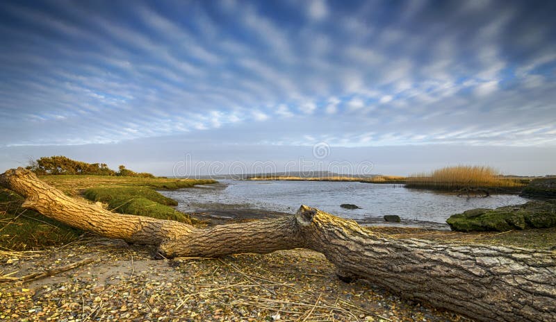 Stanpit Marsh stock image. Image of salt, seashore, reserve - 46783519