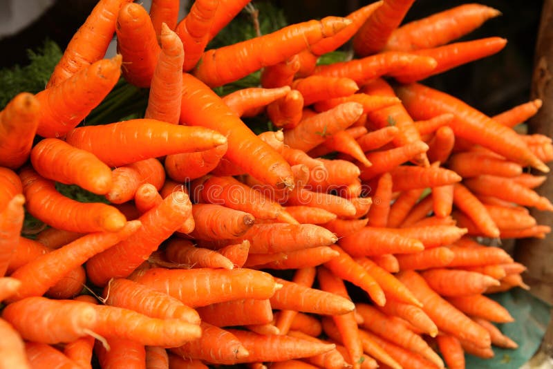 Bunte Karotten stockfoto. Bild von farben, vegetarier - 8006578