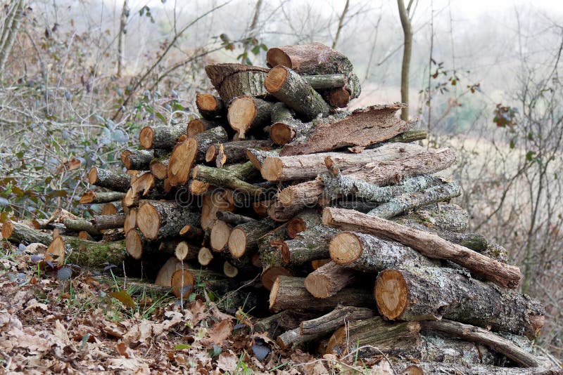 Stapel Van Hout Voor De Open Haard Stock Afbeelding - Image of ...