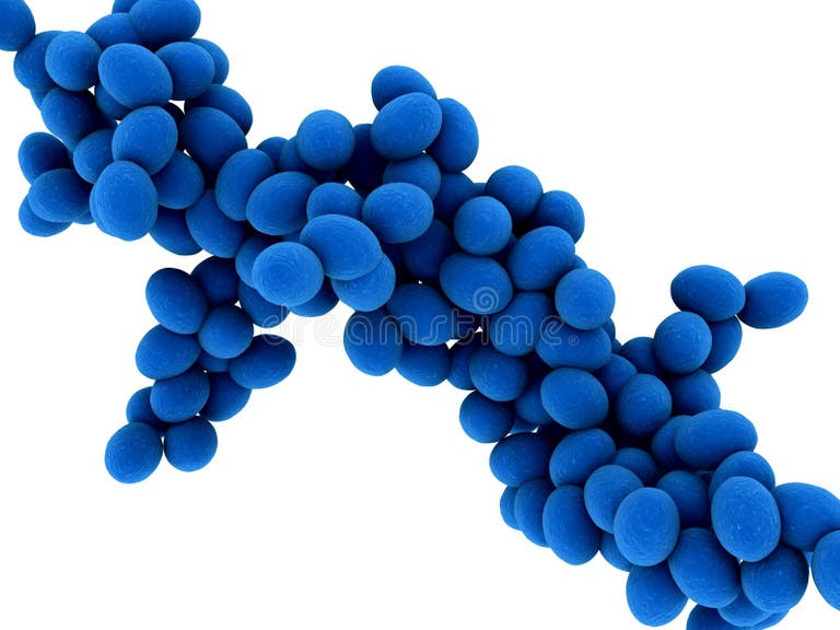 Streptococcus Staphylococcus Stock Illustrations – 909 Streptococcus ...