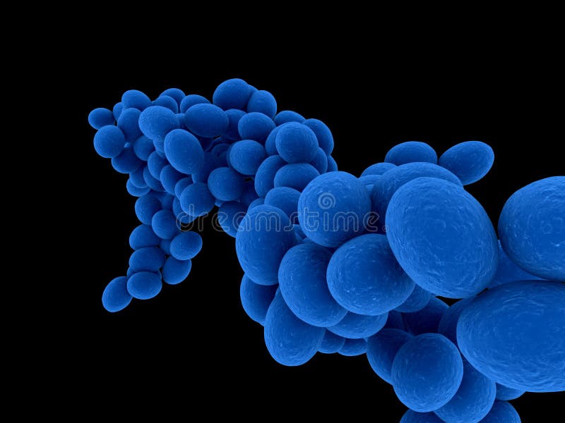 Staphylococcus stock illustration. Illustration of biology - 11953751