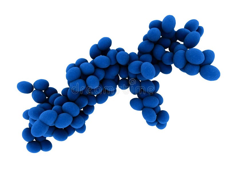 Staphylococcus. Bacteria Classification. Spherical Shapes of Bacteria ...