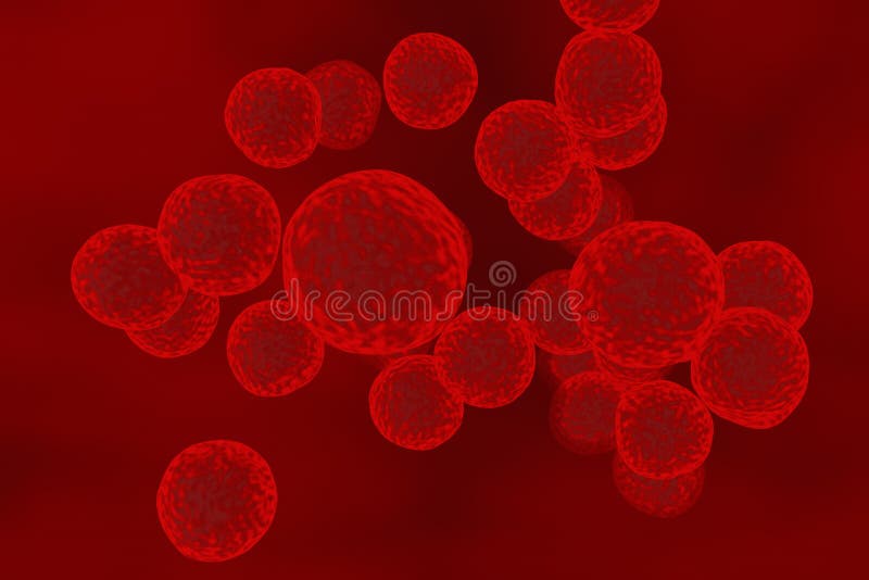 Staphylococcus Aureus Bacteria Stock Illustration - Illustration of ...