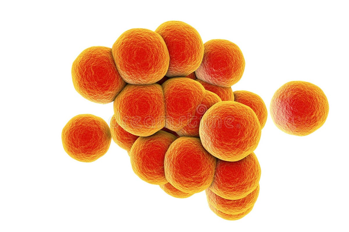 Mrsa 3d Stock Illustrations – 423 Mrsa 3d Stock Illustrations, Vectors ...